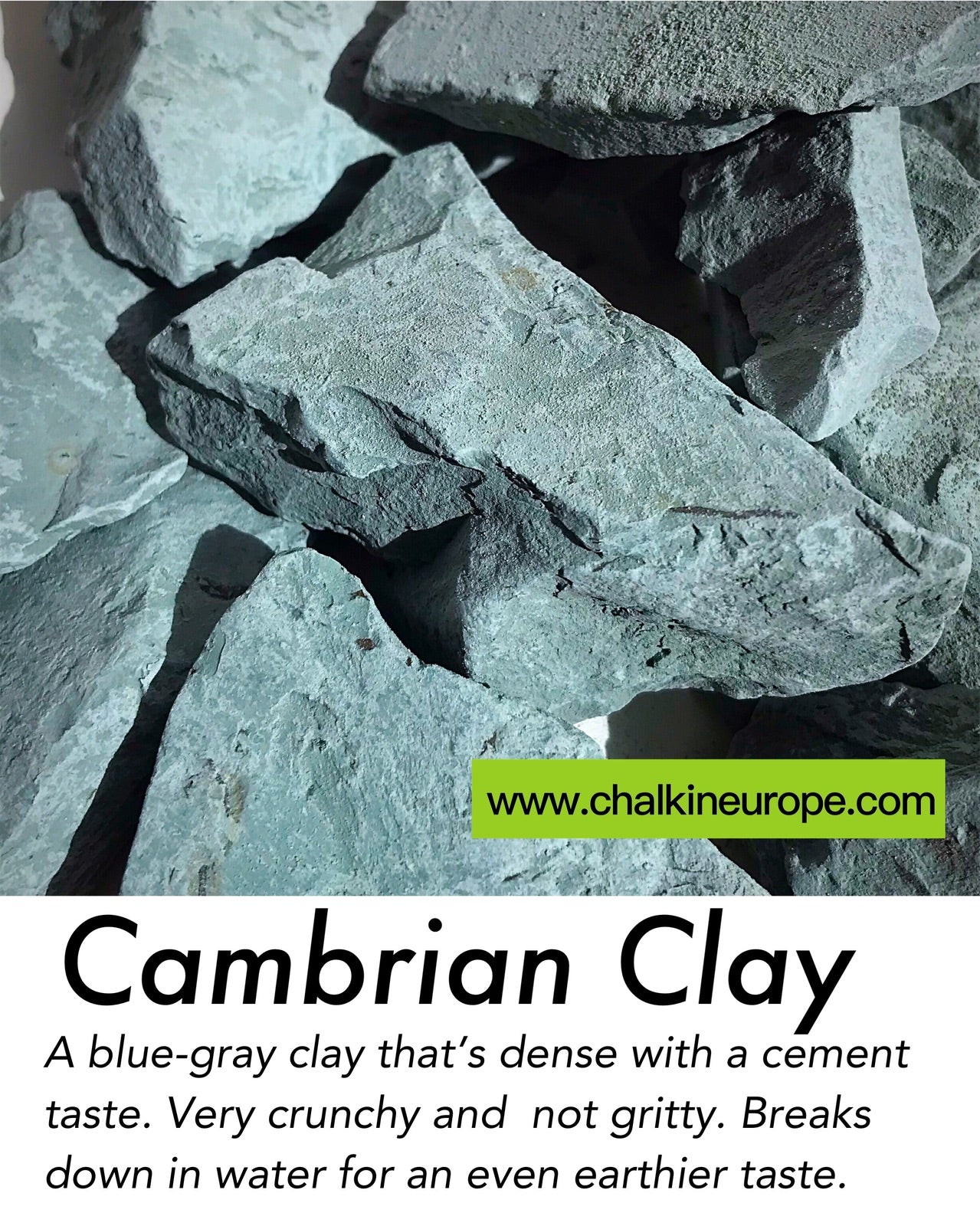 Cambrian Clay Edible Clay